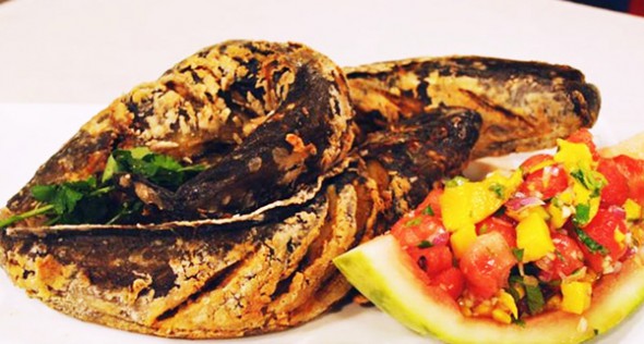 8Crispy Fried Hito with Watermelan and Mango salsa copy – Tempo