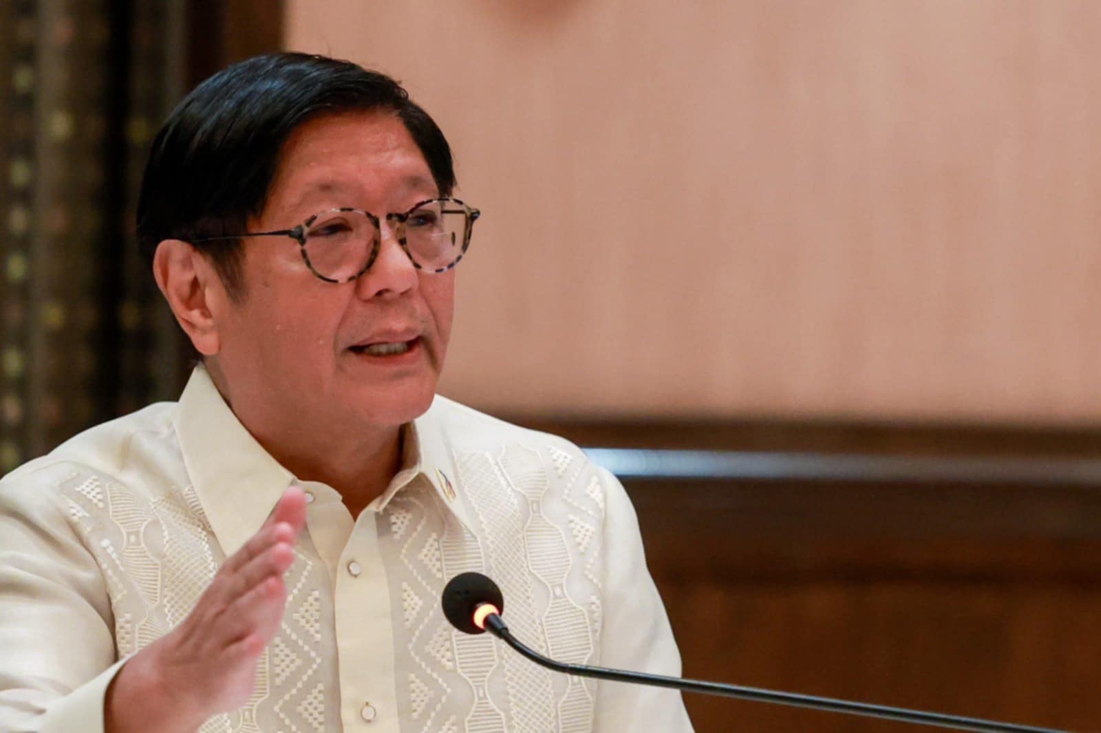 Palace reviews legal action over fake Marcos medical records – Tempo