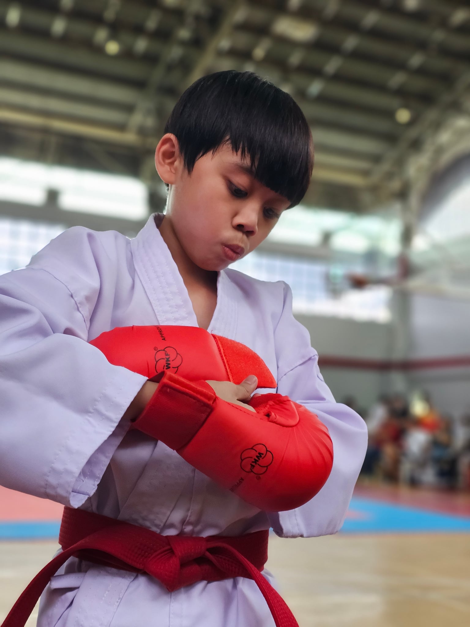 Herrera starting to make his mark in PH karate – Tempo