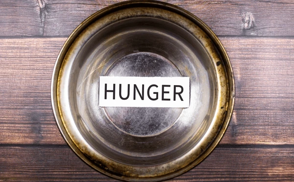 Hunger among Filipino families rises in early 2026 — SWS – Tempo