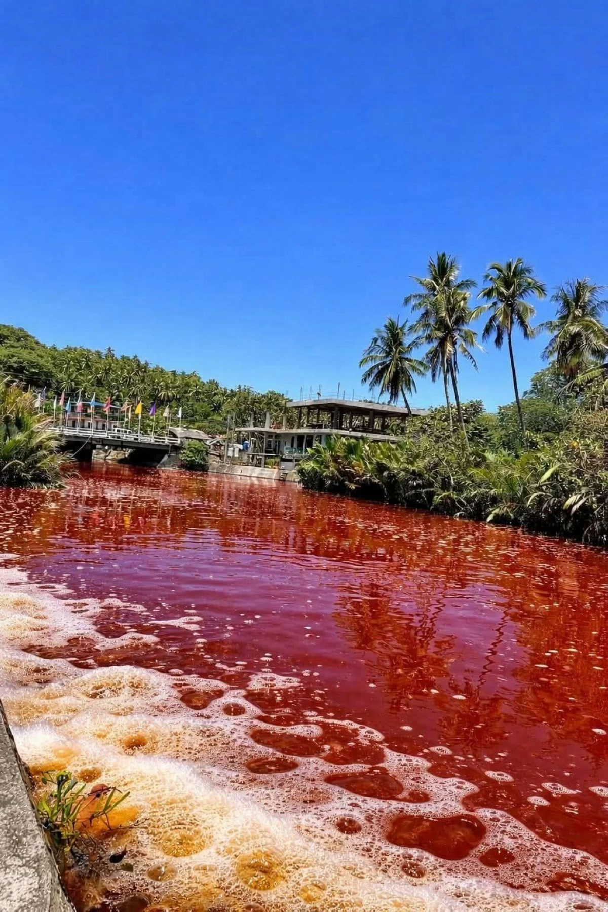 Beer spill turns Buhatan River in Sorsogon red – Tempo